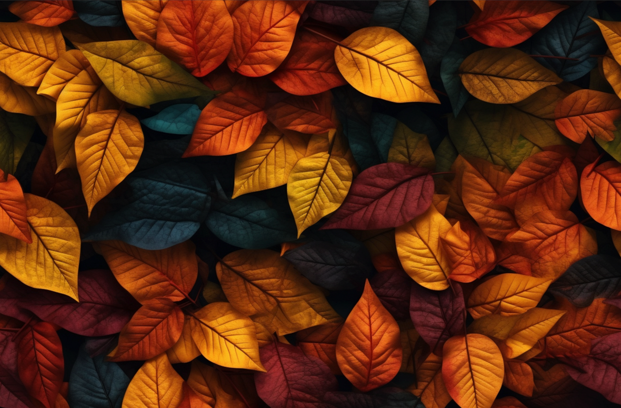 Bioveda | Natural Ayurvedic Products for Vibrant Living